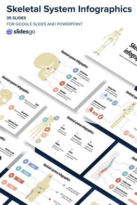 Skeletal System Infographics Google Slides Powerpoint Artofit