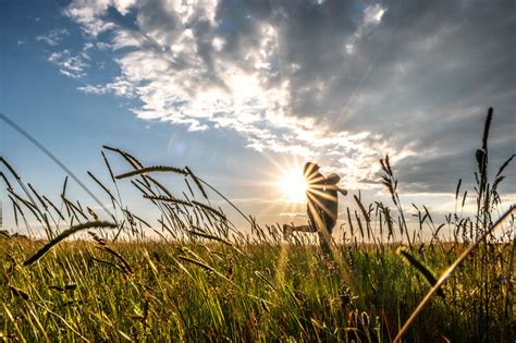 Любов сред житата Author Nikola Zafirov Starswriter Photo Forum