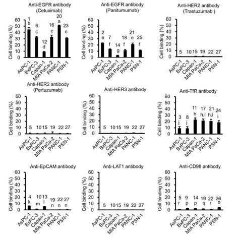 In Vitro Tumor Cell Binding Assay With 64 Cu Labeled Antibodies Cell Download Scientific