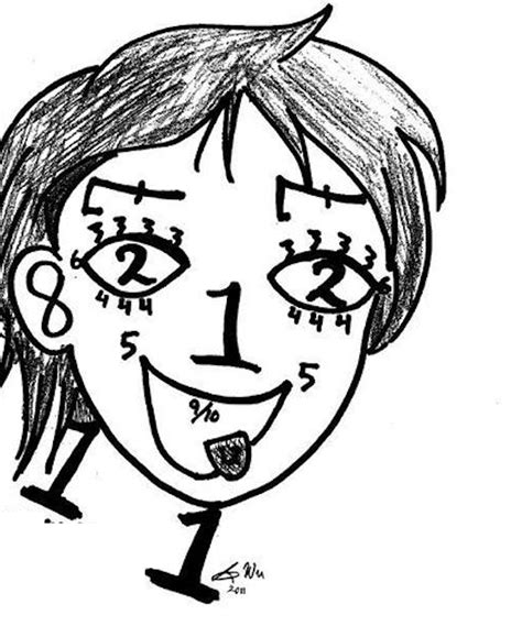 Cranial Nerve Part 2 Final Exam Diagram Quizlet