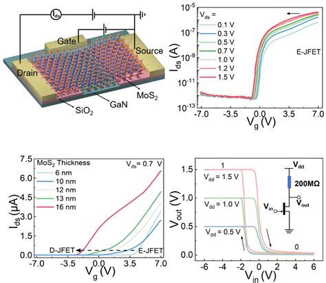电子科学与工程学院（微电子学院）高伟长聘副研究员团队在advanced Functional Materials发表重要研究成果 华南师大新闻网