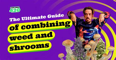 The Ultimate Guide Of Combining Weed And Shrooms Everything 420