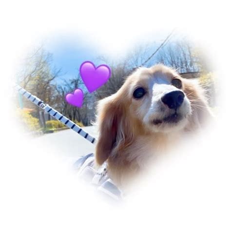 💜ちろる💜 Chirokun0927 • Threads Say More