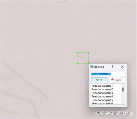 Anaconda 中使用pip install labelimg 安装labelimg修改预定标签predefined classes txt 知乎
