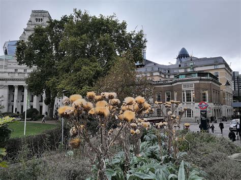 Huawei Mate 10 Pro Review Review 2017 Pcmag Uk