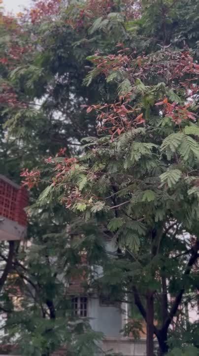 Sahithya Reddy On Linkedin Behindthescenes Behindthecamera Adfilm