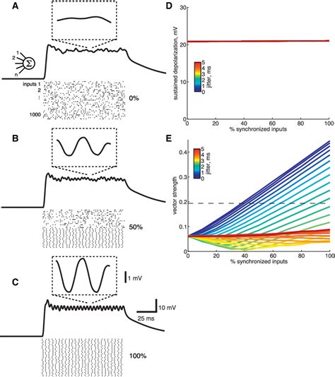 Figure 6 From A Coding Transformation For Temporally Structured Sounds