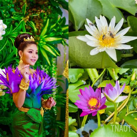 មាស សុខសោភា គ្រងឈុតប្រពៃណីខ្មែរម៉ូដផ្ការំចង់ ធ្វើឲ្យអ្នកគាំទ្រសរសើរមិនដាច់ពីមាត់ Tnaot