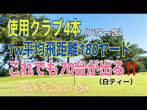クラブ4本ドライバー平均180ヤードでも70台は出る4本ラウンドinワイルドダックCC15H 2023年7月12日 パーシモンHAGE