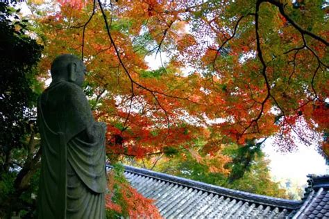 前往人气摄影景点——江之电 镰仓高校前”的交通方式 Matcha