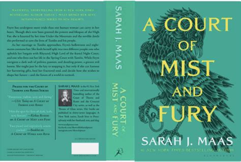 A Court Of Mist And Fury Sarah J Mass Full Book Cover Mini Books Mini Books Diy Book Cover