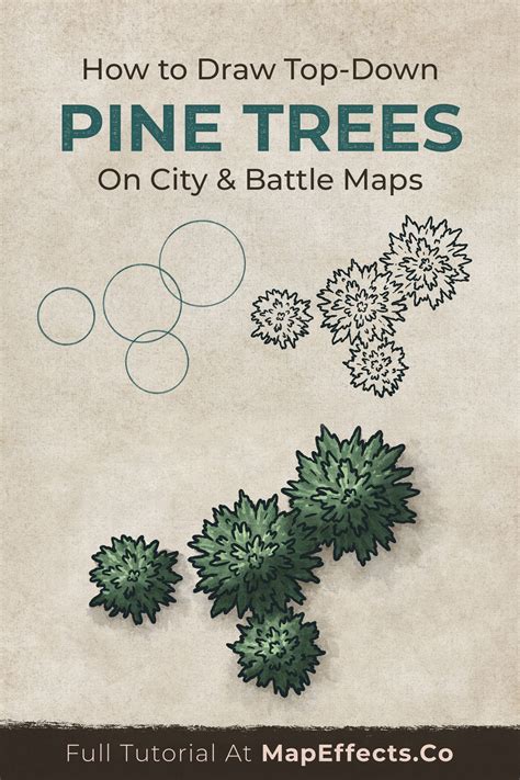 How To Draw Pine Trees Top Down Perspective — Map Effects