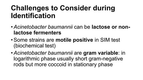 Acinetobacter Baumannii01122021 Pptx