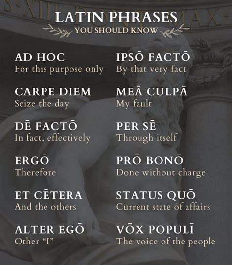 Pin By Angel Of The South On Relax And Feel Latin Quotes Latin