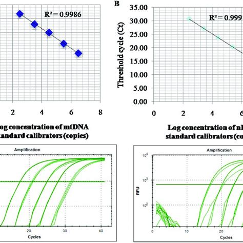 Representative Standard Curve And Amplification Plot From Patient
