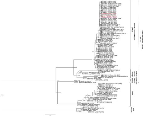 Bayesian Evolutionary Analysis Of CHIKV In This Study Red Marked Download Scientific Diagram