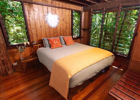 Best Luxury Treehouse Accommodation In Queensland Staytopia