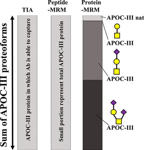 Simultaneous Quantification Of Apolipoprotein C Iii O Glycoforms By
