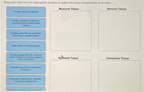 Solved Drag Each Label Into The Appropriate Position To Chegg Com