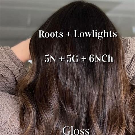 Elaine Cavada Illinois Balayage Brunette Lover On Instagram
