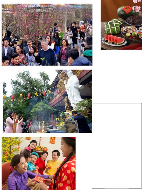 Tet 2 Pdf