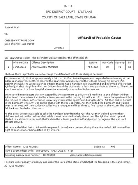 Chelsea Cook Probable Cause Statement Pdf Probable Cause Crime And Violence
