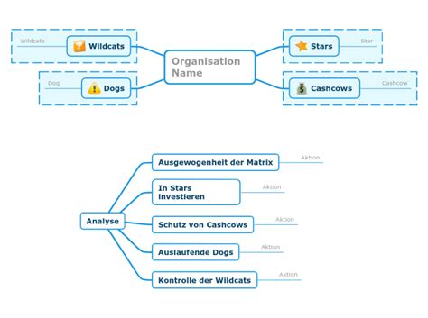 Boston Matrix Vorlage