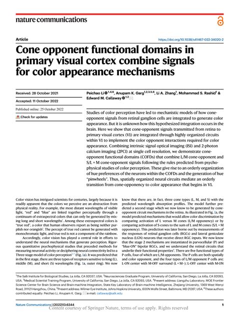 Pdf Cone Opponent Functional Domains In Primary Visual Cortex Combine