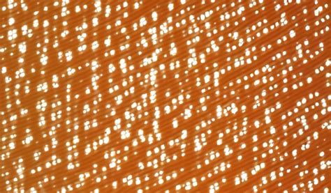 Developing Ai Models For Personalized Health Monitoring And Predictive Diagnostics A