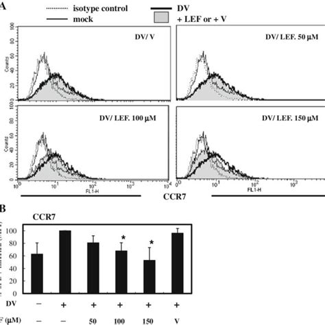 Organized Dendritic Cell Migration On Lymph Node Cryosections A Download Scientific Diagram