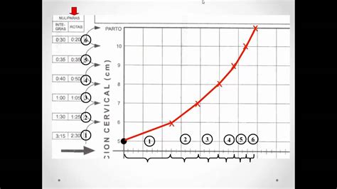 Ejercicios Partograma YouTube