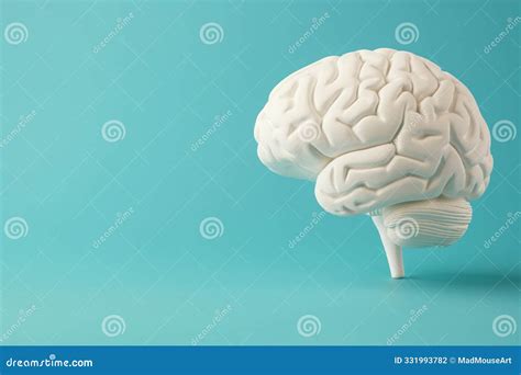Human Brain Model On Blue Background With Copy Space Stock Illustration Illustration Of Brain