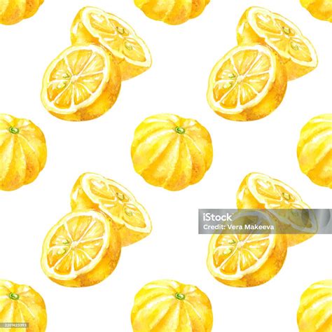 유자 전체 및 절반 밝은 육즙 과일 손으로 그린 수채화 완벽 한 패턴 흰색 절연 감귤에 대한 스톡 벡터 아트 및 기타 이미지 감귤 감귤류 과일 건강한 생활방식