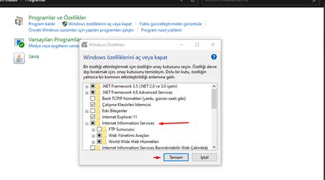 Iis Nedir Neden Gereklidir Ve Nasıl Kurulur