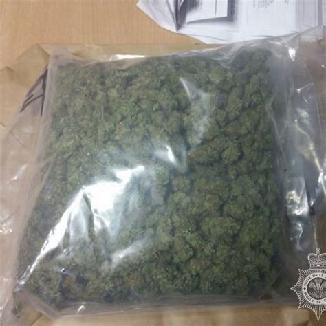 Drug Detection Object Detection Dataset By Vanessa Garza