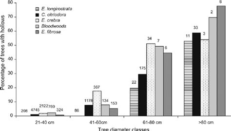 The Relationship Between Tree Species And Diameter And The Occurrence