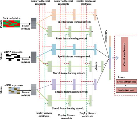 The Architecture Of Our Proposed Deep Learning Approach Download
