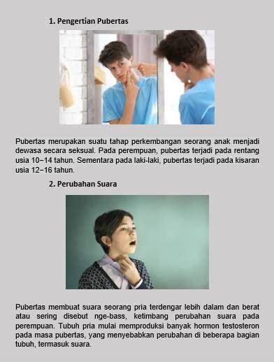 Contoh Brosur Tentang Pubertas Remaja Imagesee Riset