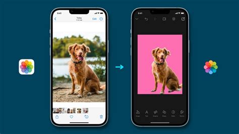How To Remove The Background Of A Photo On Iphone