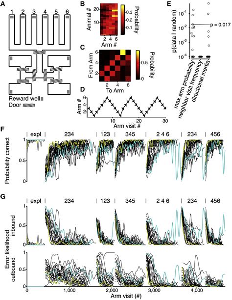 Learning From Models Of Suboptimal Learning Sainsbury Wellcome Centre