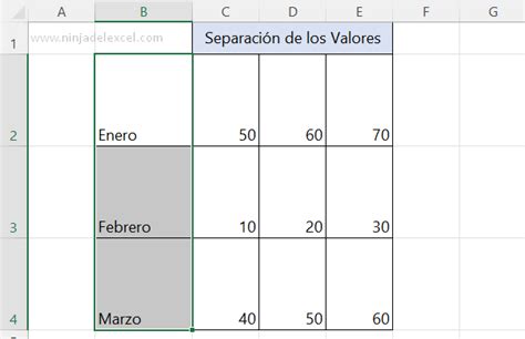 Texto A Columnas Con Ajuste De Texto En Excel Ninja Del Excel