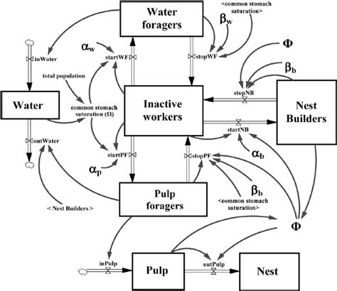 The System Dynamics Of The Task Partitioning Of The Building Behavior