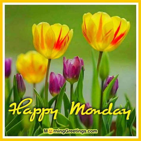 70 Best Monday Morning Quotes Wishes Pics Morning Greetings Morning