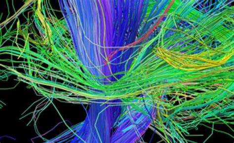 Bacterial Glycan Recognition By Lectins Amrita Vishwa Vidyapeetham