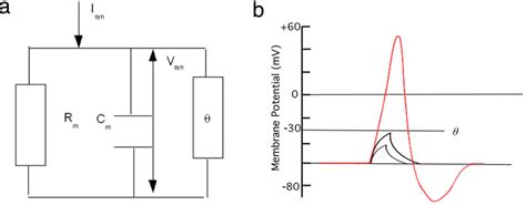Figure 5 From Modeling Signal Propagation In Nanomachine To Neuron Communications Semantic Scholar