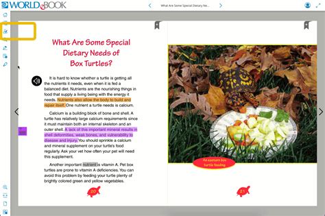 Ebooks How To Annotate