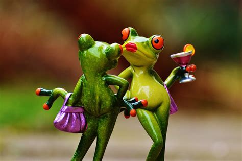 Frogs Party Cocktail Free Photo On Pixabay