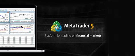 Metatrader 5 Windows