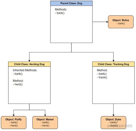 什么是面向对象编程OOP 深入解释面向对象编程 OOP 是一种基本的编程范式几乎每个开发人员都在其职业生涯的某个 掘金