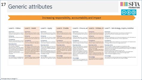 SFIA Fundamentals In Pictures English